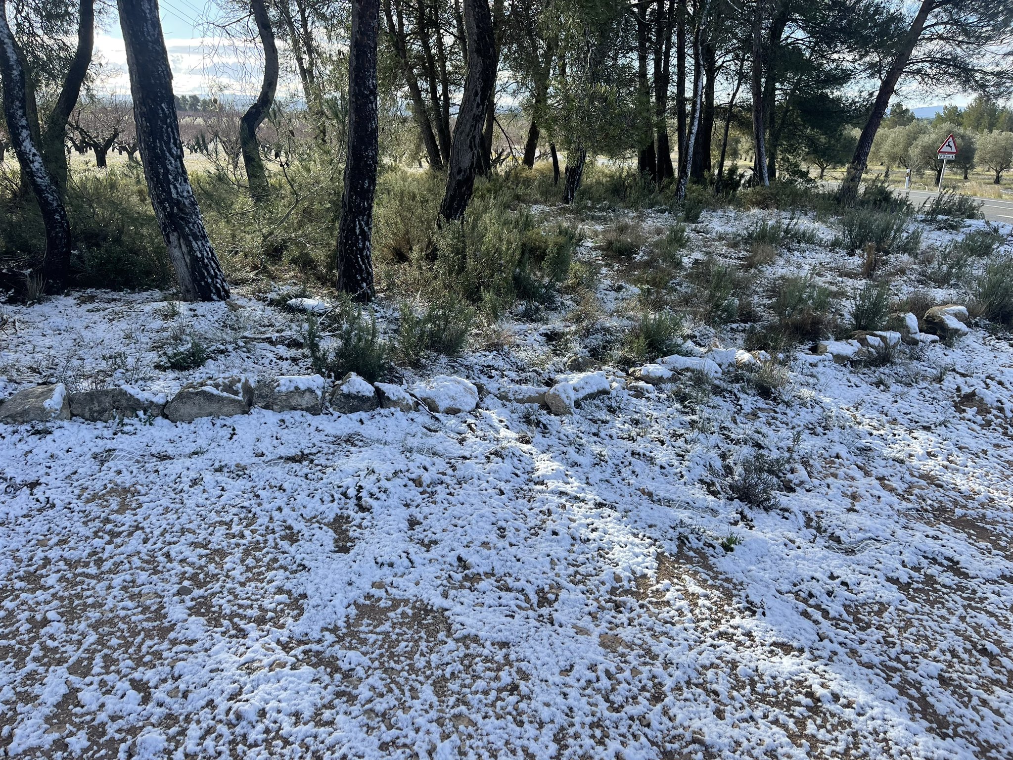 Las primeras nevadas en pueblos del interior de Valencia y Alicante